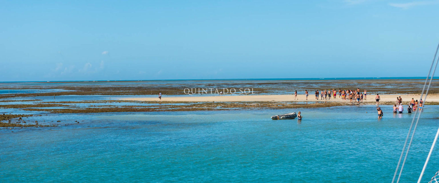 » A natureza exuberante de Recife de Fora: conheça as maravilhas deste ...