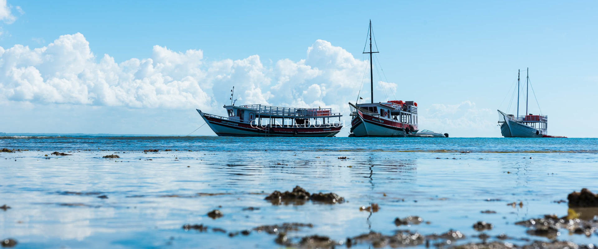 » A natureza exuberante de Recife de Fora: conheça as maravilhas deste ...