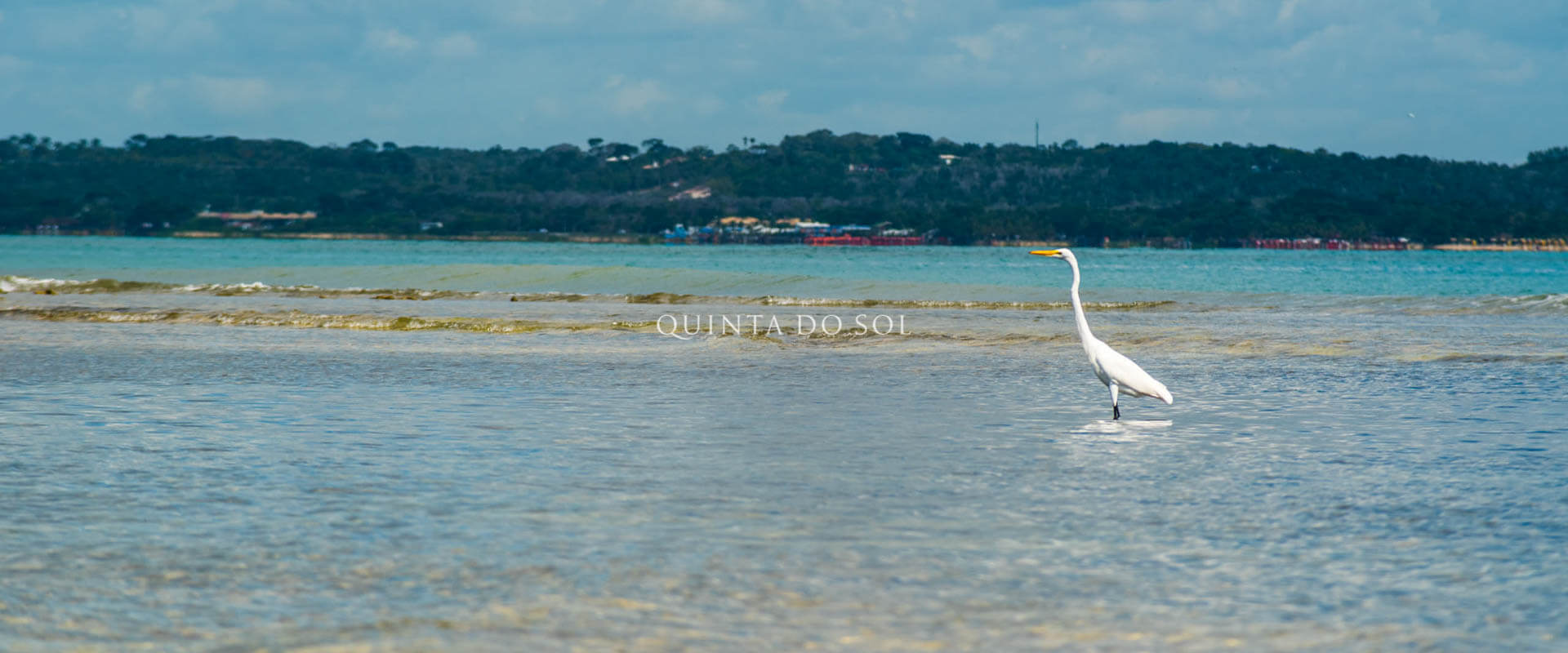 » A natureza exuberante de Recife de Fora: conheça as maravilhas deste ...