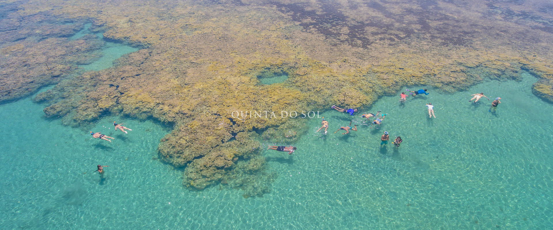 » A natureza exuberante de Recife de Fora: conheça as maravilhas deste ...