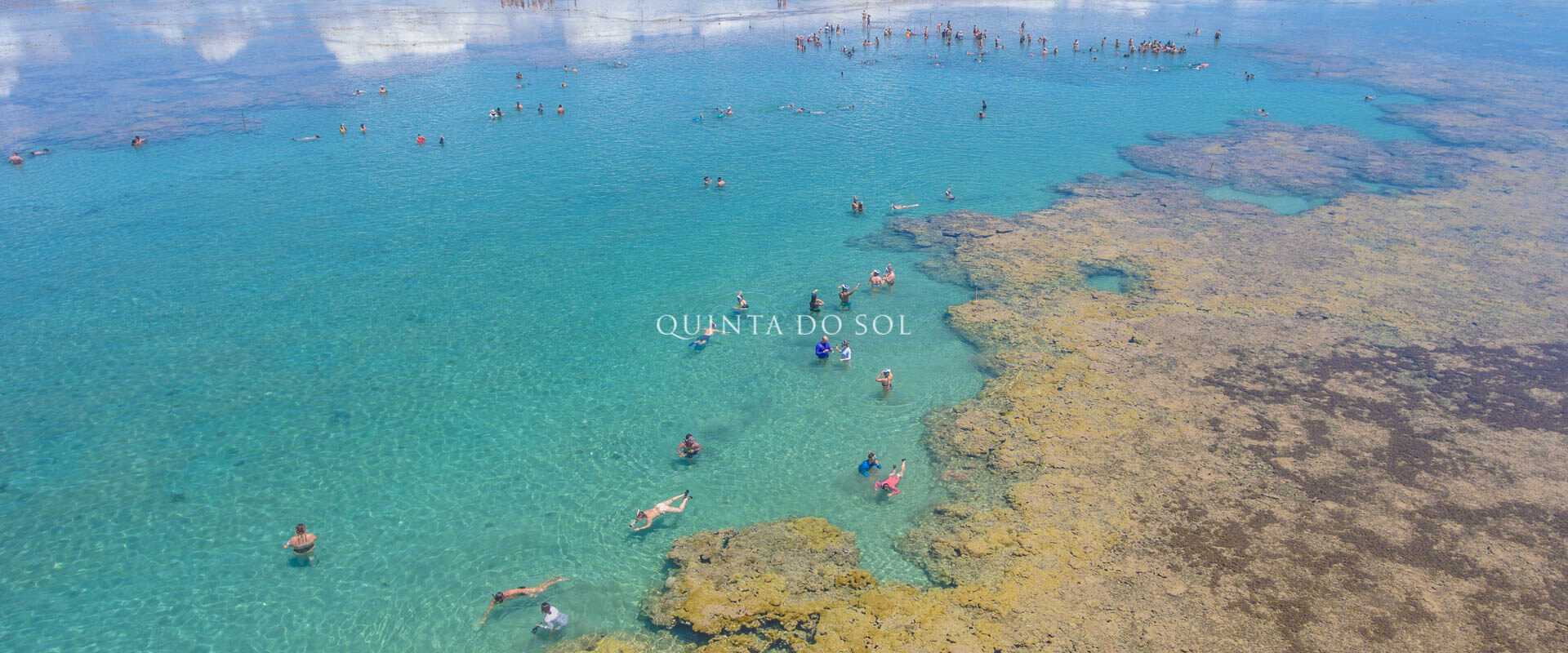 » A natureza exuberante de Recife de Fora: conheça as maravilhas deste ...